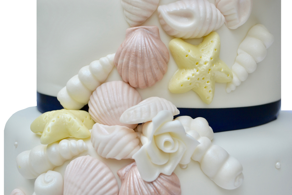 Seashell & Roses Cake – Sugar Street Boutique